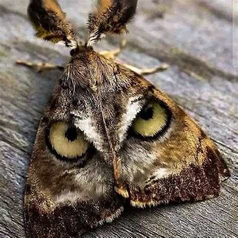 异步导出接口中的encodingaeskey 到底是什么值 ，能给出例子么？ 开发者社区 企业微信开发者中心