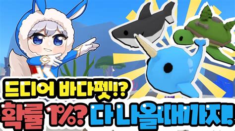 나올 확률 1 바다펫 나올때까지 뽑고 강해질거에요 펫 히어로즈 3화 Youtube