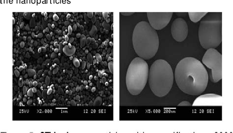 [pdf] Formulation And Optimization Of Nateglinide Loaded Polymeric Nanoparticles Using Response