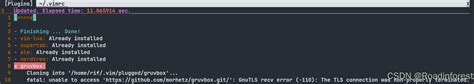 Vim Plug的自动安装与基本使用介绍 Csdn博客