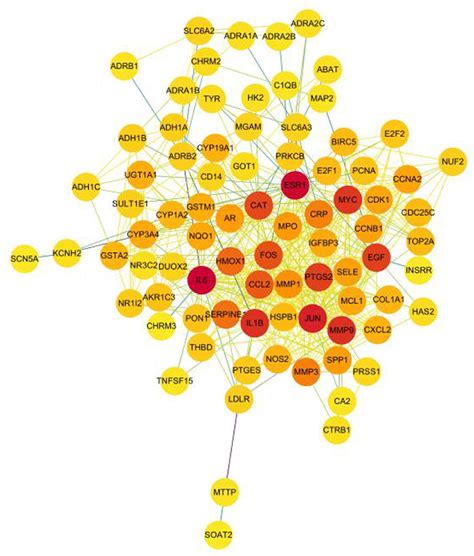 Bioinformatics Based And Multiscale Convolutional Neural Network