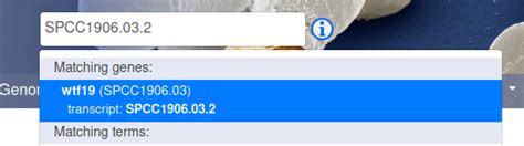 Allow Transcript Ids In Quick Search · Issue 1651 · Pombasewebsite