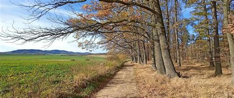 UseQuery IsFetching Vs IsLoading DEV Community