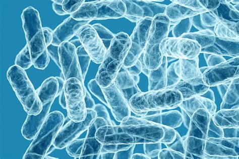 장내 세균 그람 음성 막대 모양의 박테리아 장내 미생물의 일부 및 다른 감염의 원인 물질 3d 렌더링 대장균 Klebsiella Enterobacter 및 기타 3차원