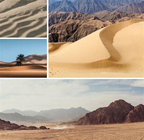 Fiberon® Wildwood™ Composite Cladding Carolina Rep Rainscreen Envelope Professionals