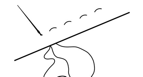 Wearables Stemify