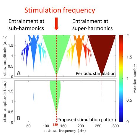 How To Entrain A Selected Neuronal Rhythm But Not Others Open Loop Dithered Brain Stimulation