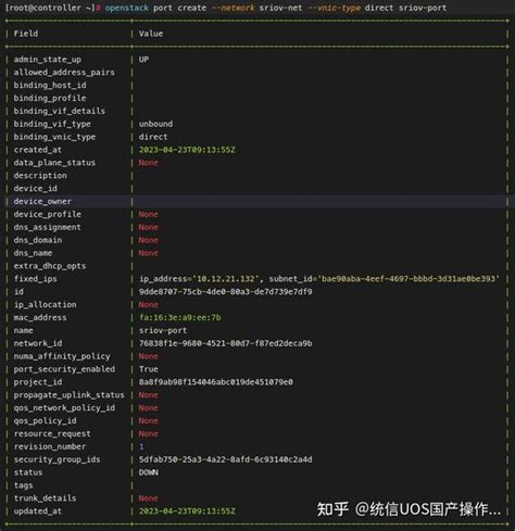 一文看懂openstack sr iov 知乎