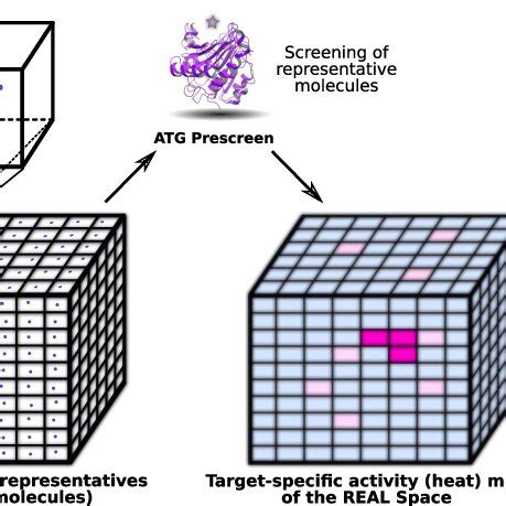 PDF VirtualFlow The Next Generation Drug Discovery Platform Enabling Adaptive Screens Of