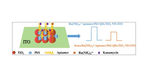 Photoelectrochemical Aptasensors Constructed With Photosensitive Pbs