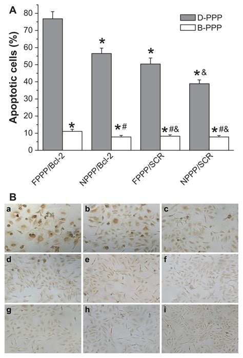 Detection Of Apoptotic Skov 3 Cells By Tunel Assay A Percentage Of