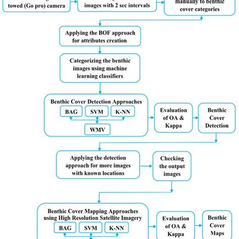Workflow Processing Steps Of Presented Methodology For Benthic Cover Download Scientific