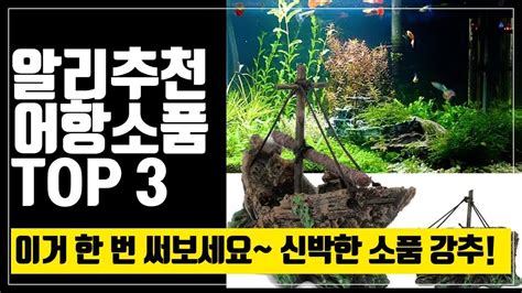 알리익스프레스 어항꾸미기 신박한 아이템 추천 Youtube
