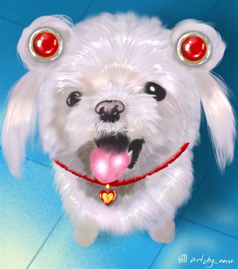 A Quick Drawing Of COCO For The Sailormoonredrawchallenge How Did I Do Arsxcoco Got7