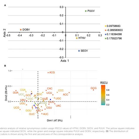 Nucleotide Composition Analysis A The Mean Frequency For A U G