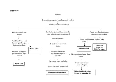 Pathway Fraktur Pdf