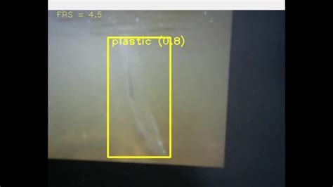 Do Image Classification And Object Detection By Amir Gazi Fiverr
