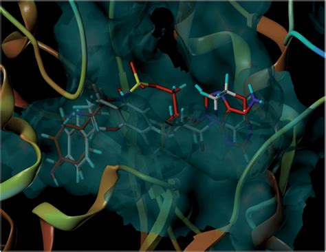 Binding Pose Of Compound B1 With Tyrrs Shown As Gray And The Original