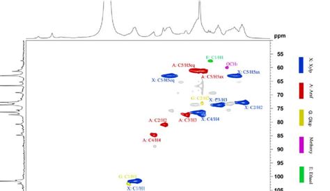 Hsqc Spectrum In D 2 O Of Hemicellulosic Fraction H 5 Download