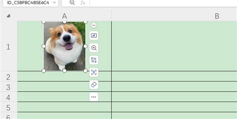 Wps：把excel文件中的图片嵌入到表格的单元格中，并且随着单元格大小的改变而不失真？（图片嵌入、取消嵌入到单元格） Wps嵌入单元格 Csdn博客