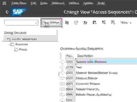 How To Define Access Sequence
