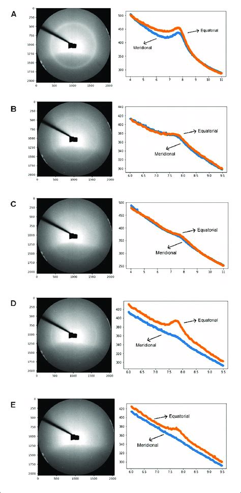 Synchrotron Radiation 2d X Ray Diffraction Patterns Of Pan Cnt Fibers