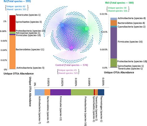 Cytoscape Network Representation Of Total Shared And Unique Species In Download Scientific