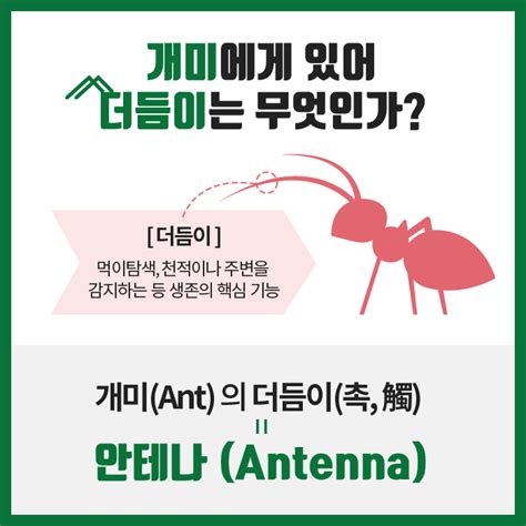 Skylifebeta GitHub