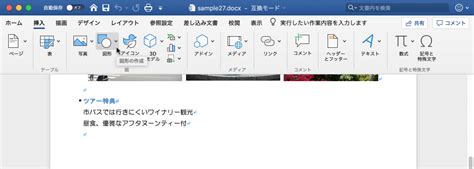 Word 2019 for Mac図形を挿入するには