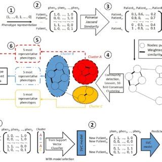 A Workflow For The Clustering And Phenotype Enrichment Analysis Per Download Scientific