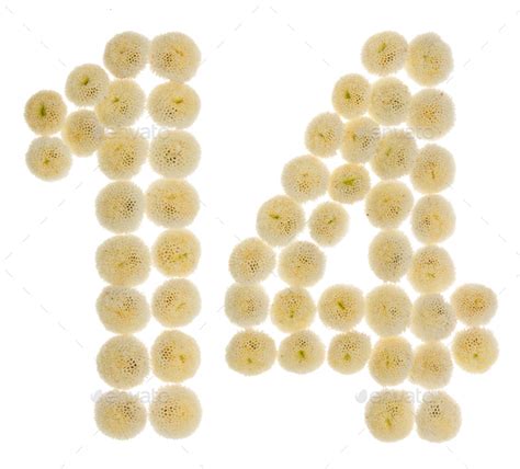 Arabic Numeral 14 Fourteen From Cream Flowers Of Chrysanthemum Arabic Numeral 14 Fourteen From Cream Flowers Of Chrysanthemum