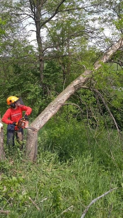 Chainsaw Woman Tree Natural Land Institute