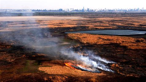 Drought And Wildfires Devastating South Americas Wetlands And Forests — Mercopress