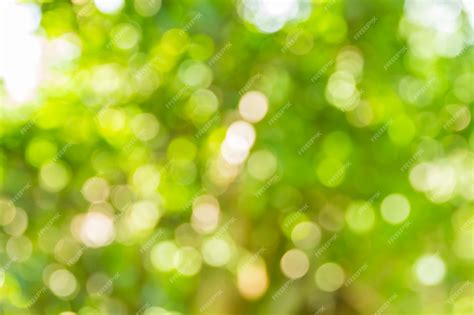 추상 Bokeh와 흐린 된 녹색 자연 배경 프리미엄 사진