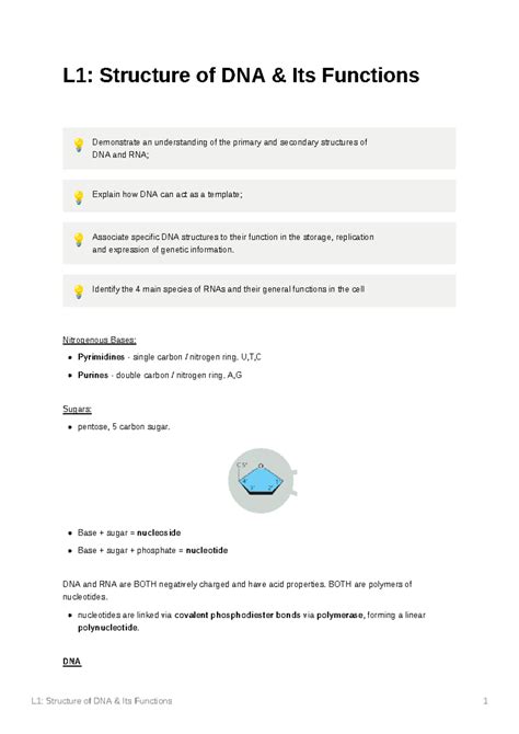 Bms1062 Notes Pt1 L1 Structure Of DNA Its Functions 1 L1 Structure Of DNA Its Studocu