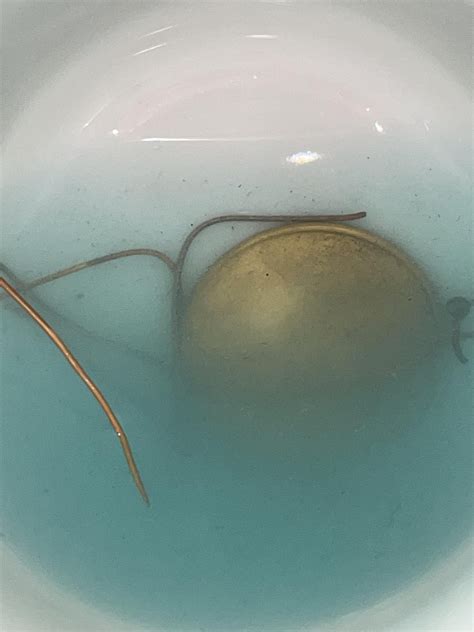 Blue Precipitate In Cuso4 Solution Rchemistry