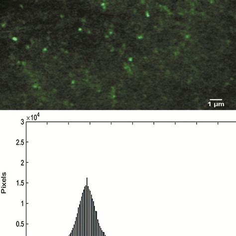 A Aggregation Process Monitored By Total Internal Reflection Download Scientific Diagram