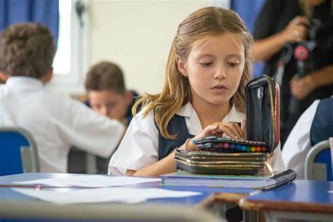 Nivel Primario Colegio Michael Ham