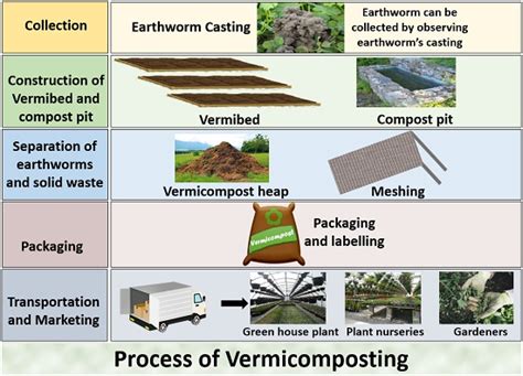 What Is Vermicomposting Meaning Vermicompost Requirements And Process Biology Reader What Is Vermicomposting Meaning Vermicompost Requirements And Process Biology Reader