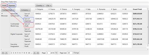 Telerik Web Forms Pivot Grid Appearance And Styling Styling Telerik