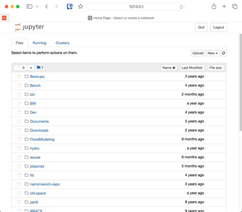 Running Jobs — Uiuc Ncsa Hydro User Guide