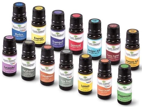 АНХЛАН ХЭРЭГЛЭГЧИЙН 7 ДАН 7 ХОЛИМОГ НИЙТ 14 ТОСНЫ БАГЦ 🌱 Sensual Хосуудад зориулсан романтик