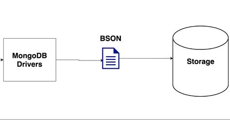 Programming For Beginners BSON
