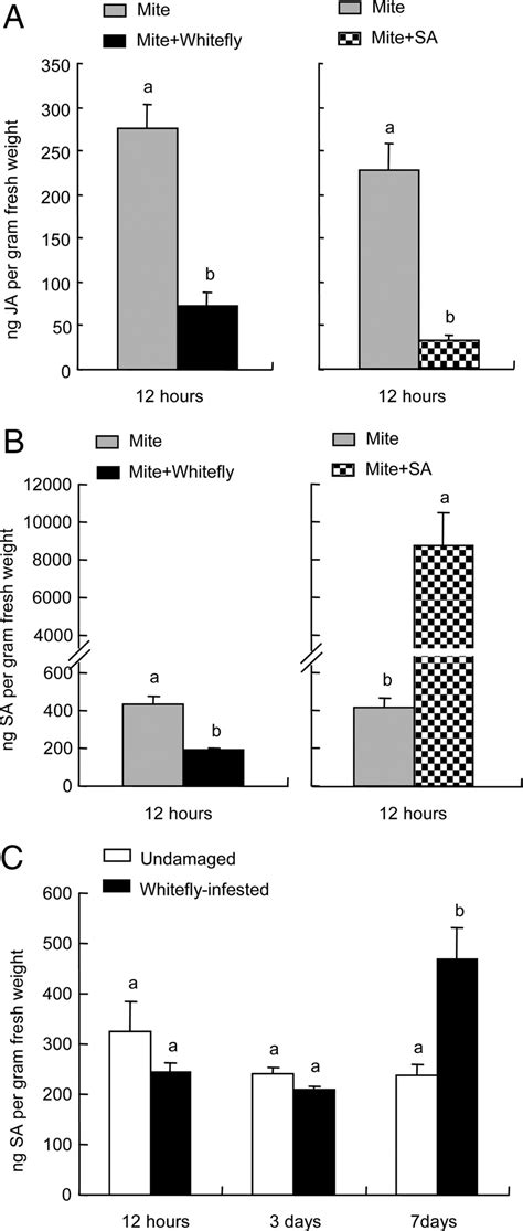 Phytohormone Analysis Of Plants Of Different Treatments Quantification Download Scientific