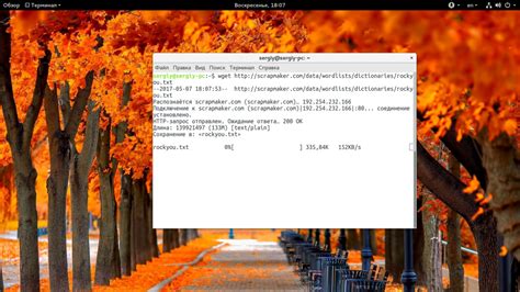 Как пользоваться Hashcat Losst