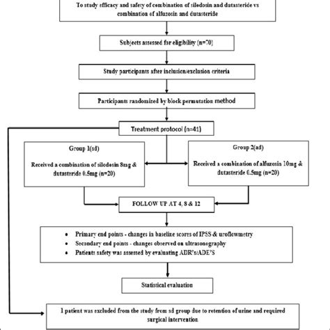 Study Flow Algorithm Download Scientific Diagram Study Flow Algorithm Download Scientific Diagram