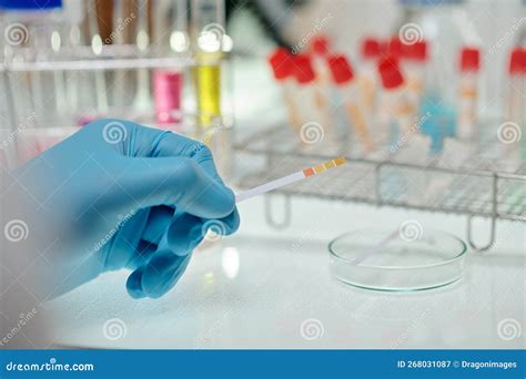 Researcher Checking Acidity Stock Image Image Of Biotechnology Biochemistry 268031087