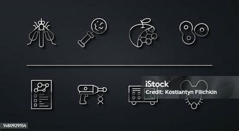 세트 라인 실험 곤충 임상 기록 세포 분열 분광계 전송 액체 총 돋보기 마우스 및 생물학적 구조 아이콘에서 미생물 벡터 Dna에