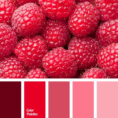 Raspberry Color Palette Ideas For Your Inspiration