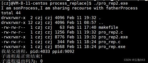 Linux进程替换linux 替换 Csdn博客
